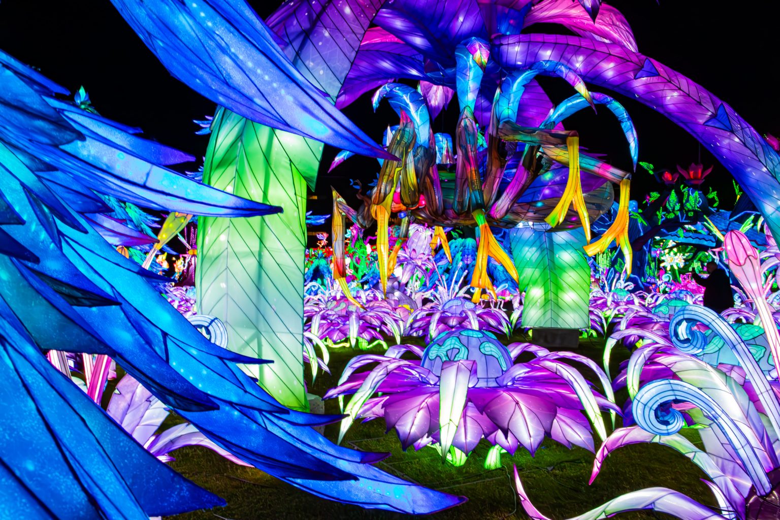 The Stockton Lantern Festival: A Central Valley Wonderland - Downtown ...