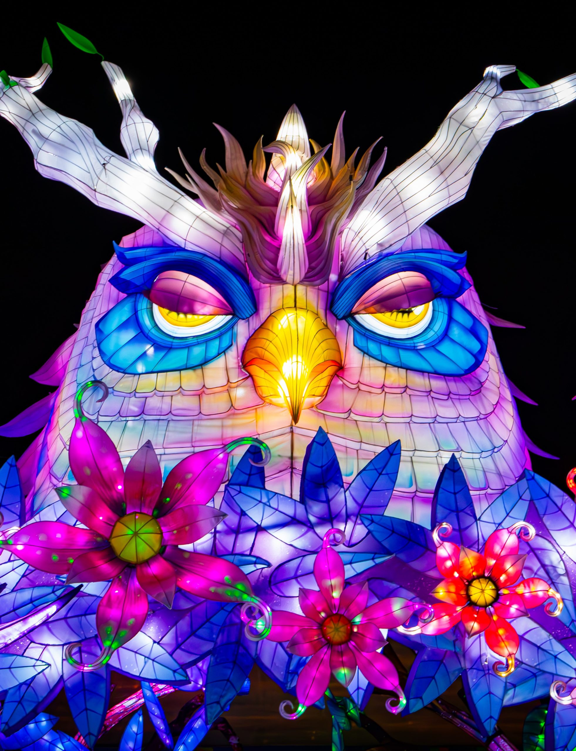 The Stockton Lantern Festival: A Central Valley Wonderland - Downtown ...