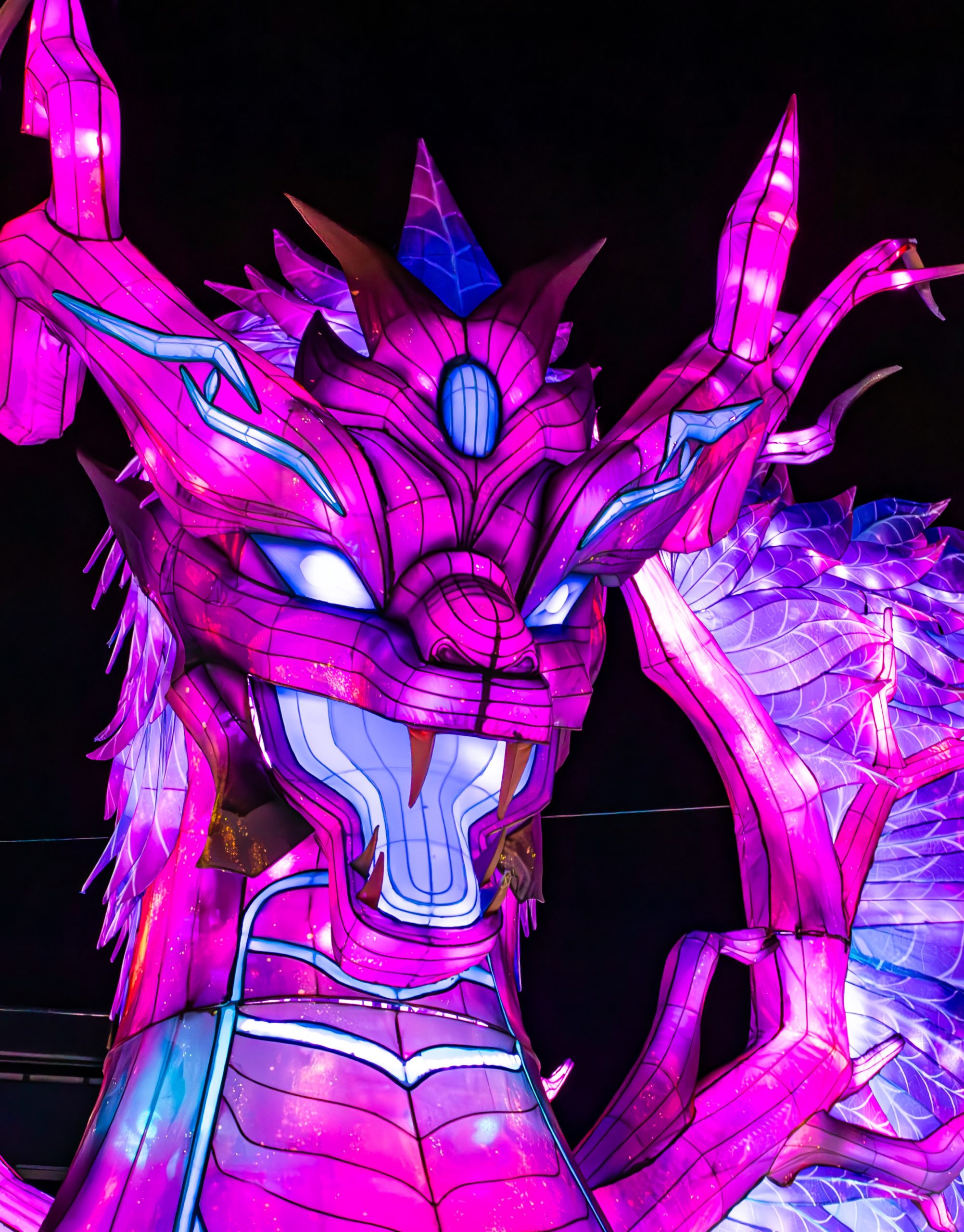 The Stockton Lantern Festival: A Central Valley Wonderland - Downtown ...