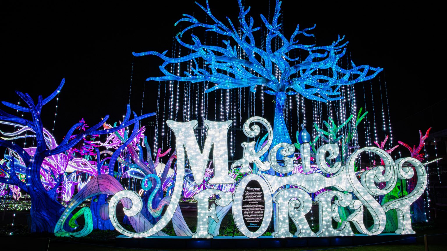 The Stockton Lantern Festival: A Central Valley Wonderland - Downtown ...