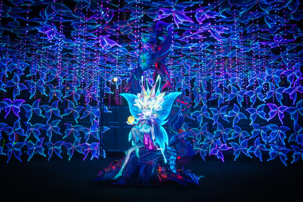 The Stockton Lantern Festival: A Central Valley Wonderland - Downtown ...