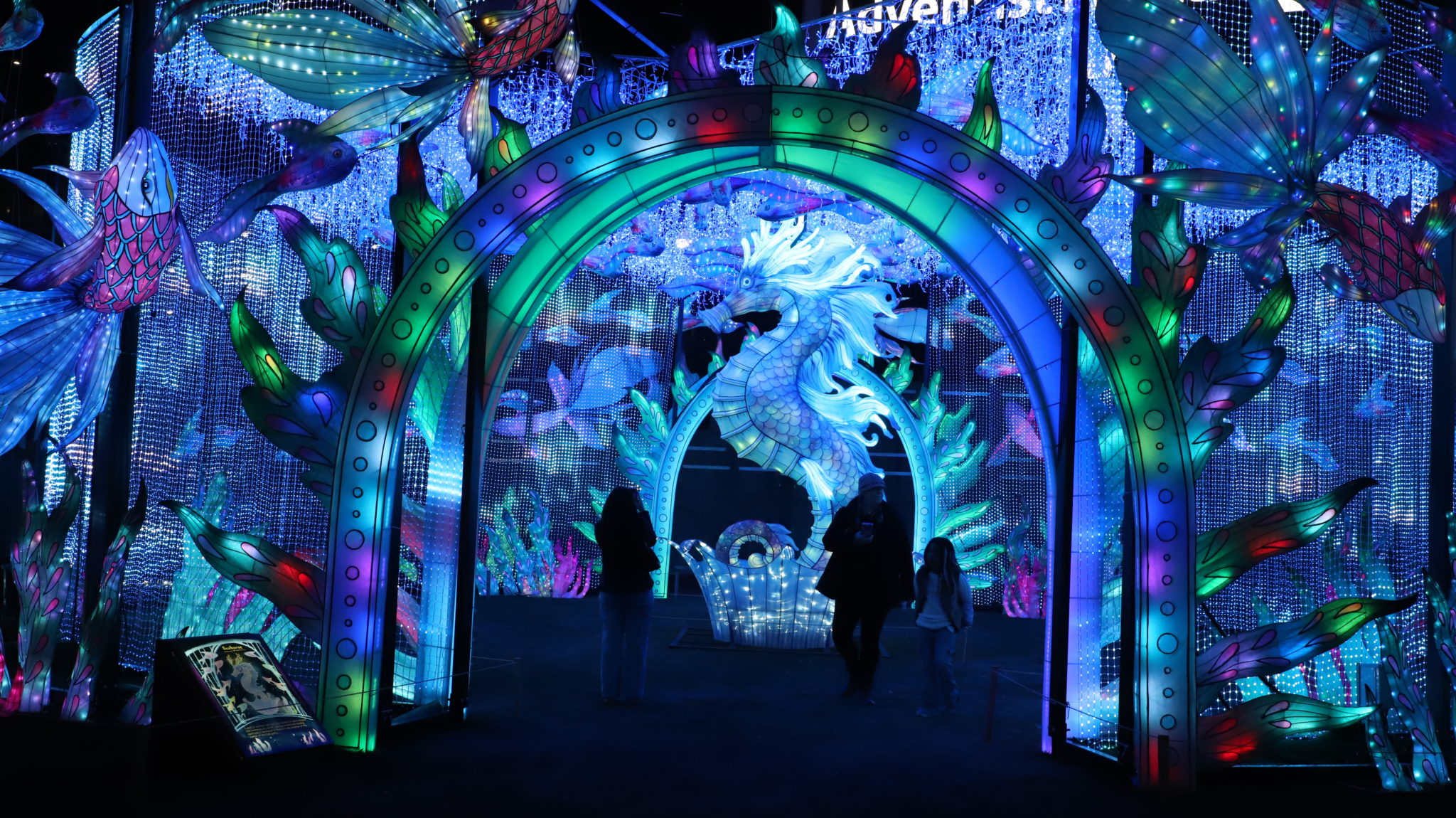 My Magical Night at the Stockton Lantern Festival - Downtown Stockton ...