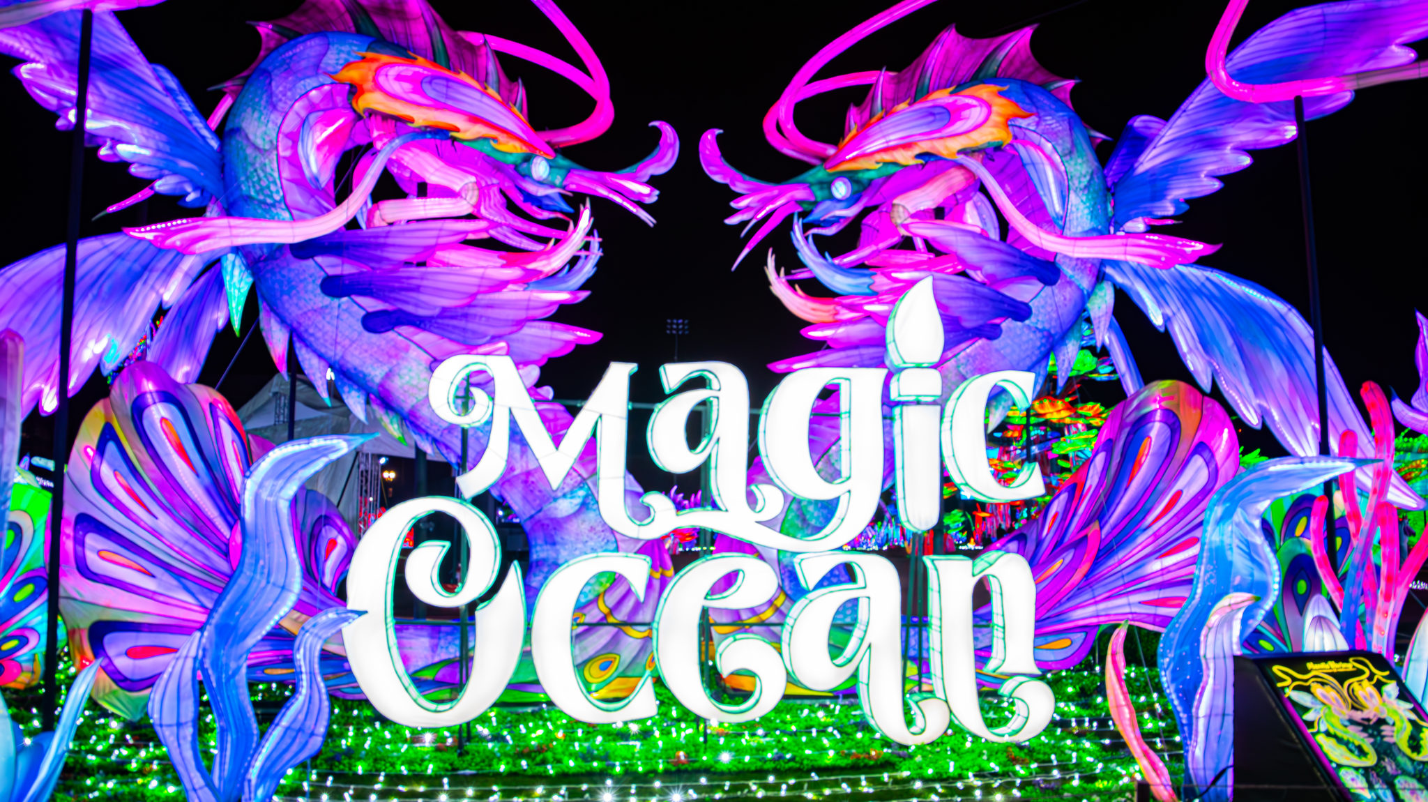 My Magical Night at the Stockton Lantern Festival - Downtown Stockton ...